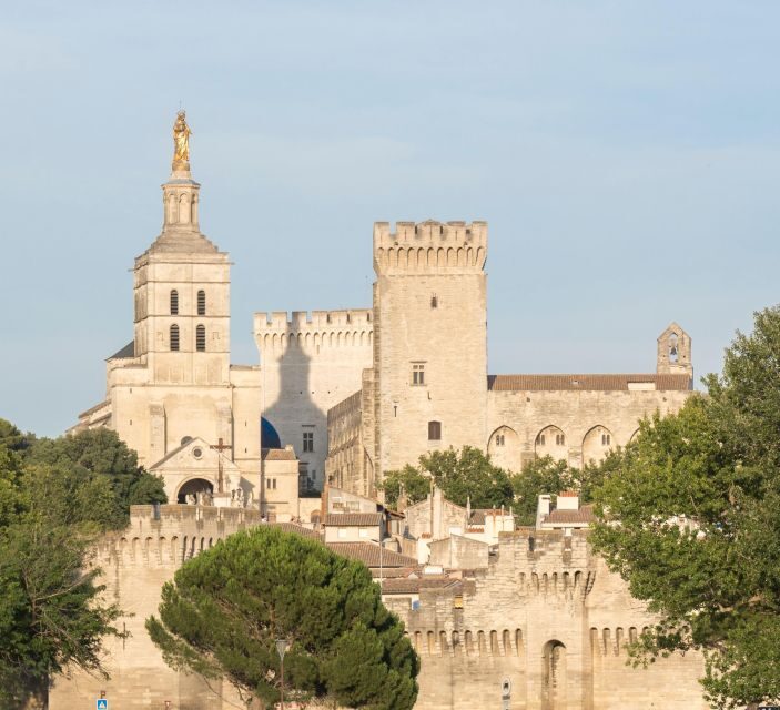 Avignon: City Walking Tour with Popes Palace Entry - Authentic and Educational Experience