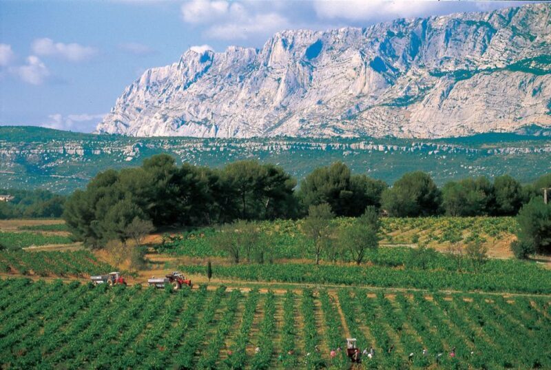 Avignon: Full-Day Wine Tour around Châteauneuf-du-Pape - Visiting the Vineyards and Wineries
