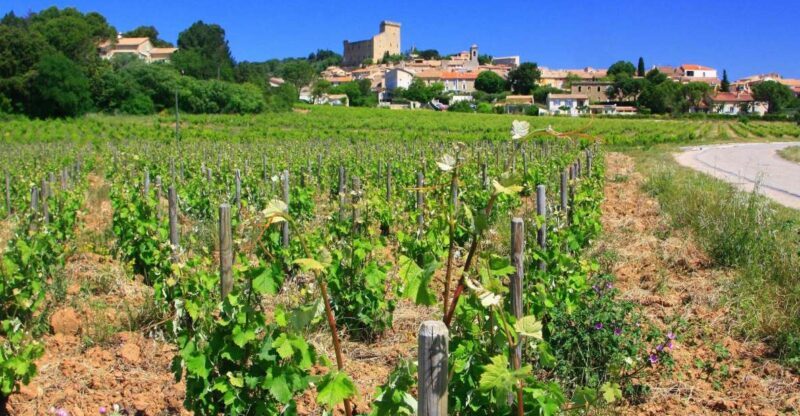 Avignon: Full-Day Wine Tour around Châteauneuf-du-Pape - Scenic Village Stops: Séguret and Others