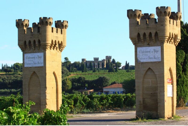 Avignon: Full-Day Wine Tour around Châteauneuf-du-Pape - Transportation and Group Size