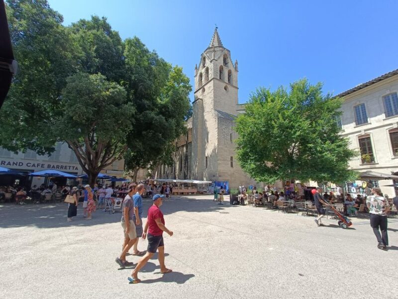 Avignon : Half-Day Walking Tour with Private Guide - Key Points