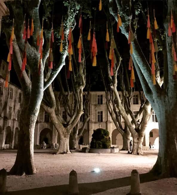 Avignon: La Noctambule du Pape Night Tour - An In-Depth Look at the Tour Experience