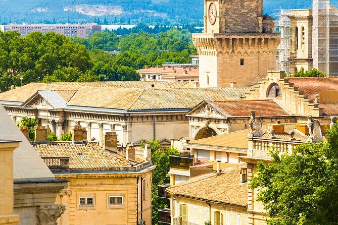 Avignon Walking Tour including Pope's Palace - Who Will Love This Tour?