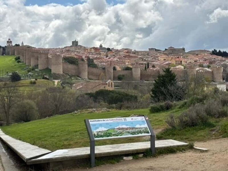 Avila and Segovia: Private Minivan Tour from Madrid - Key Points