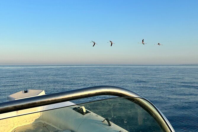 Avola: Vendicari Capopassero Group Boat Tour and Aperitif - The Sum Up