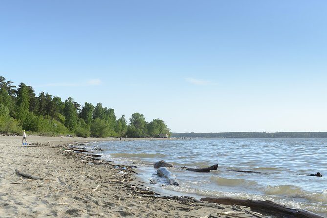 Awaken to Paros: A Scenic Morning Horseback Ride - What to Expect from Your Paros Morning Horseback Ride