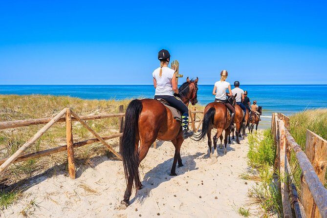 Awaken to Paros: A Scenic Morning Horseback Ride - FAQ