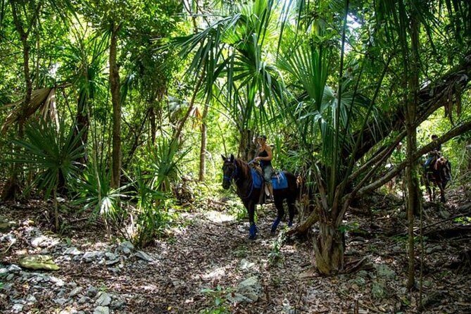 Award-winning Classic Horseback Ride (max. 6 riders) - Frequently Asked Questions