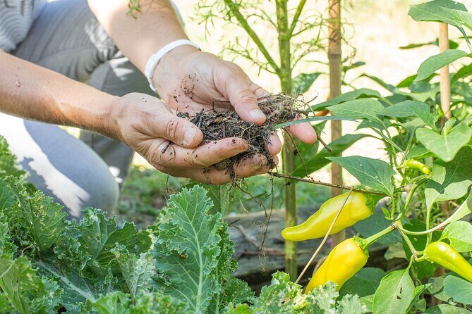 Award winning "From Farm to Table, A Culinary Day in Lyon" - FAQs