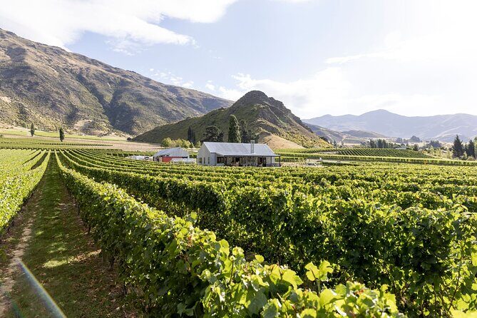 Award Winning Premium Wine Tour Queenstown Tasting at 4 Wineries - An Honest Look at the Queenstown Wine Experience