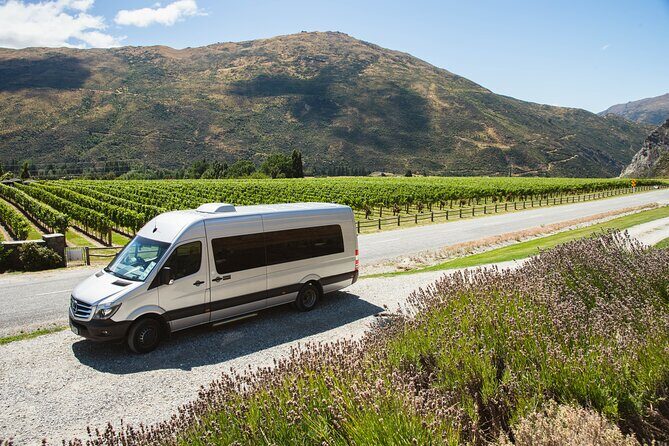 Award Winning Premium Wine Tour Queenstown Tasting at 4 Wineries - Who Will Love This Tour?