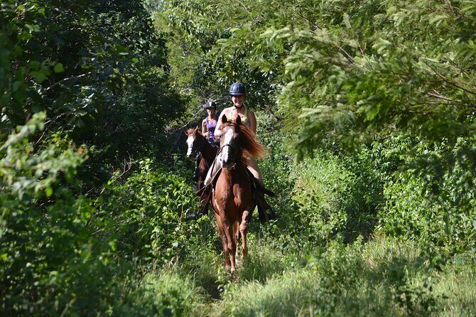 Award-winning Private Classic Horseback Ride - An In-Depth Look at the Experience