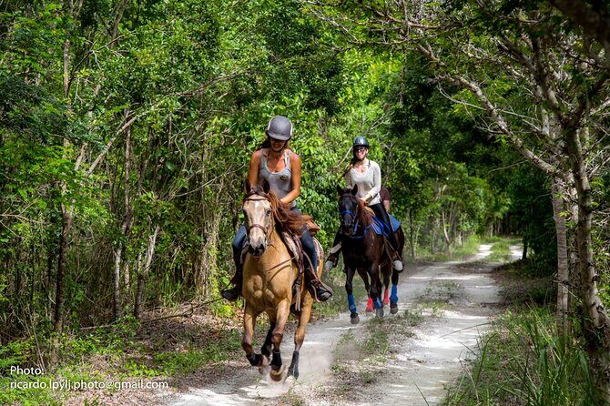 Award-winning Private Classic Horseback Ride - Final Thoughts: A Worthwhile, Ethical Adventure