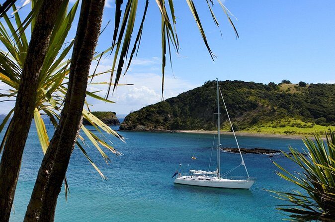 Awesome Bay of Islands Day Sailing Adventure - Who Would Enjoy This Tour?