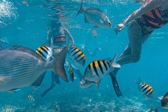 Awesome Catamaran to Isla Mujeres, Snorkeling & Unlimited Drinks! - Practical Tips for Your Trip