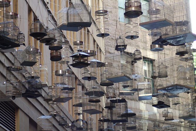 Awesome Sydney Scavenger Hunt: Inside Sydney - The Sum Up