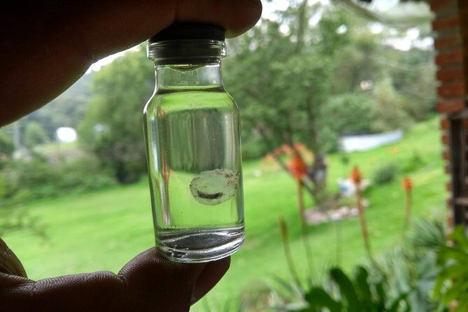 Axolotl Tour from CDMX - FAQ