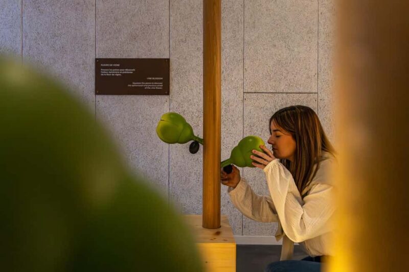 Aÿ-Champagne: Pressoria Champagne Museum with Tasting - The Practicalities: What You Need to Know