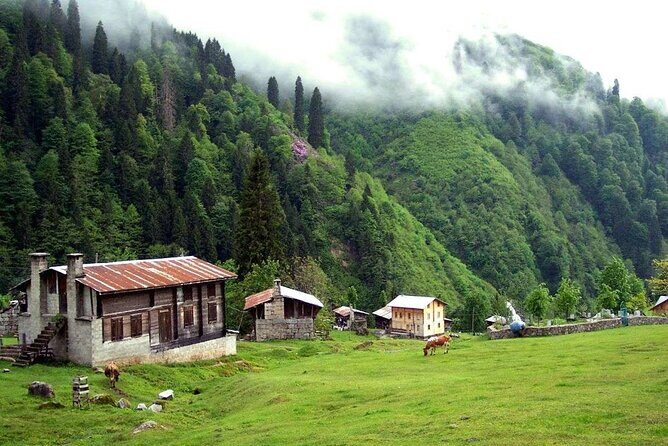 Ayder Tour with Frtna Valley Adventure: Full-Day Experience - FAQs