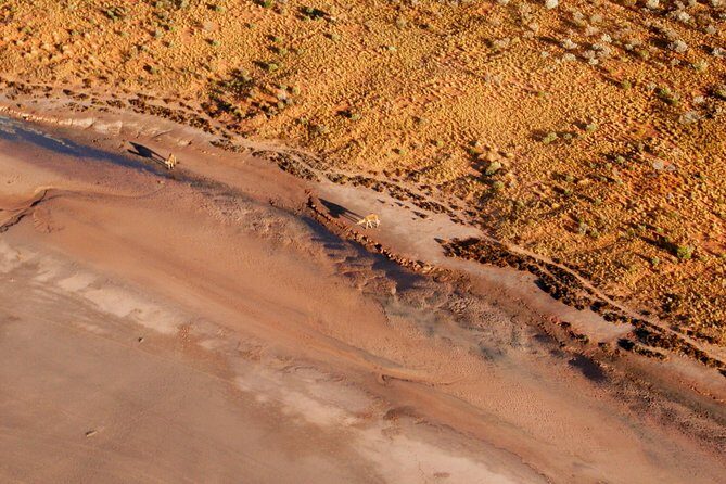 Ayers Rock and Kata Tjuta 1-Hour Scenic Flight: Lizard Safari - Frequently Asked Questions