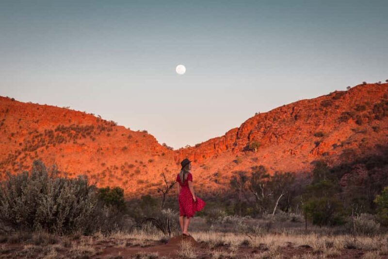 Ayers Rock: Kings Canyon West MacDonnell 3-Day Camping Tour - Additional Highlights from Guest Reviews