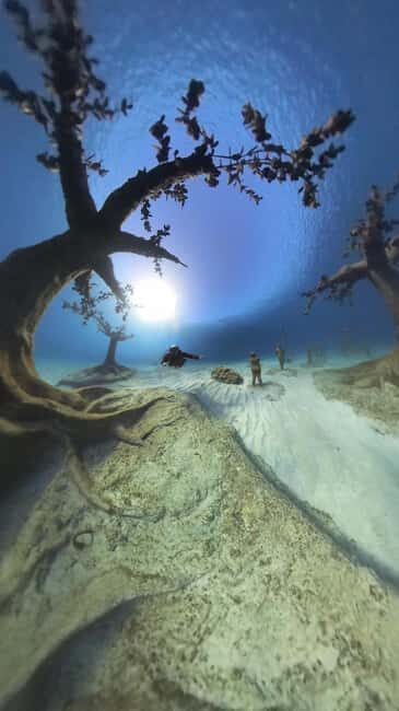 Ayia Napa: Musan Underwater Museum Scuba Dive - The Briefing and Equipment