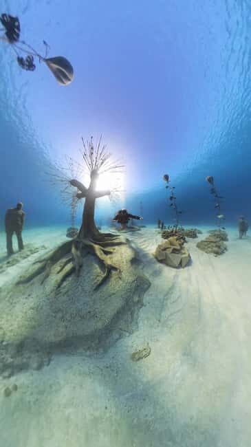 Ayia Napa: Musan Underwater Museum Scuba Dive - The Underwater Sculptures and Marine Life