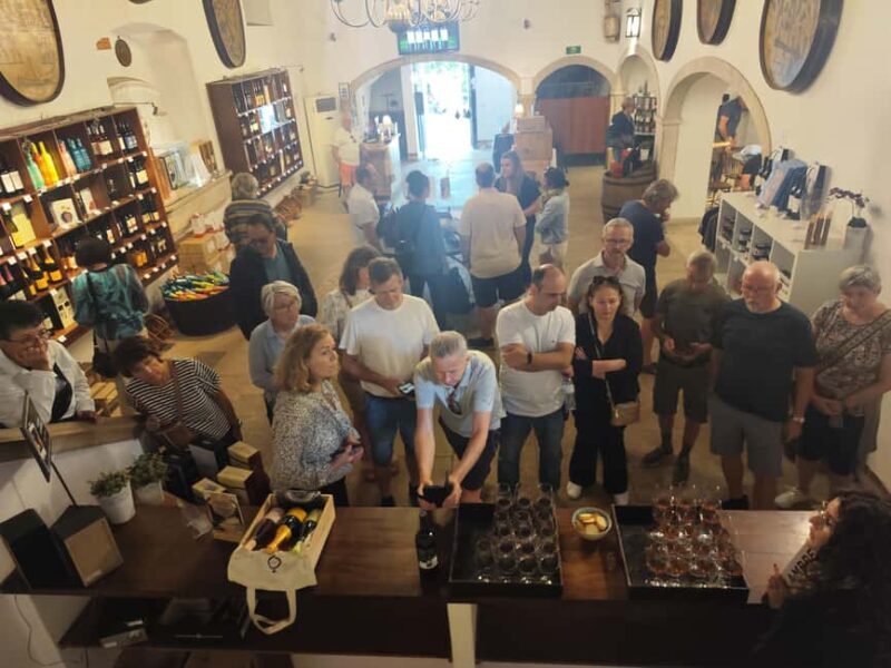 Azeitão Wine & Flavors - Tradition, and Taste of Setúbal - Visiting the Wineries: From Historic to Modern