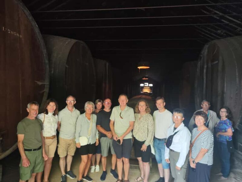 Azeitão Wine & Flavors - Tradition, and Taste of Setúbal - Who Is This Tour Best For?