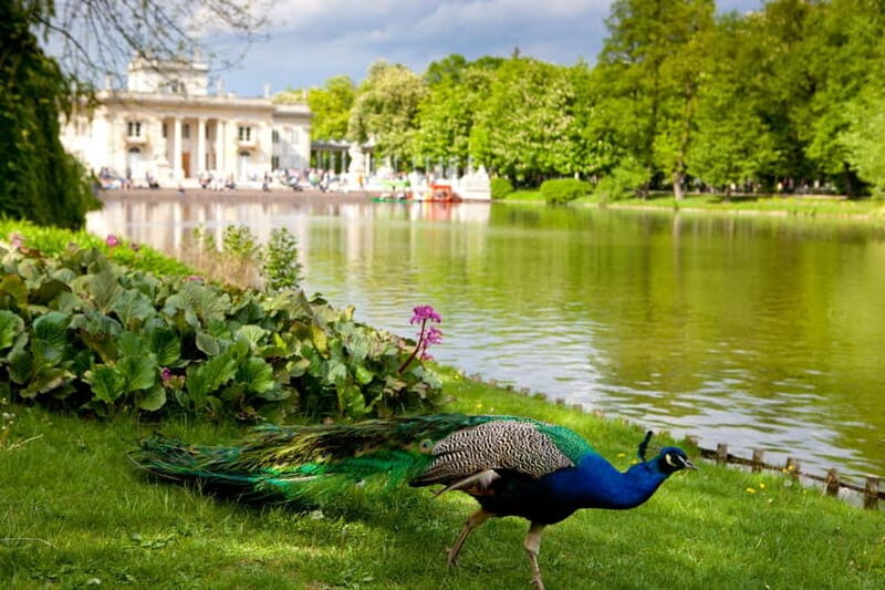 azienki Park and Palace Warsaw Private Tour with Tickets - Key Points