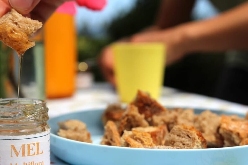 Azores Beekeeping Experience and Honey Tasting - The Itinerary in Detail