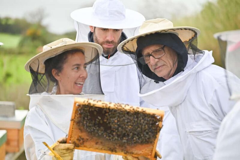 Azores Beekeeping Experience and Honey Tasting - The Sum Up