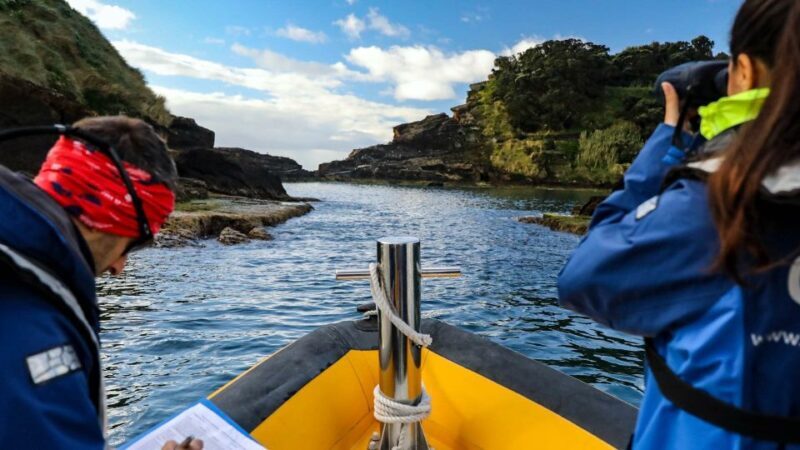 Azores: Marine Birdwatching & Islet Biologist Guided Tour - What We Love About This Tour