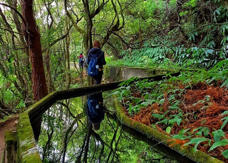 Azores: São Miguel and Lagoa do Fogo Hiking Trip - FAQ