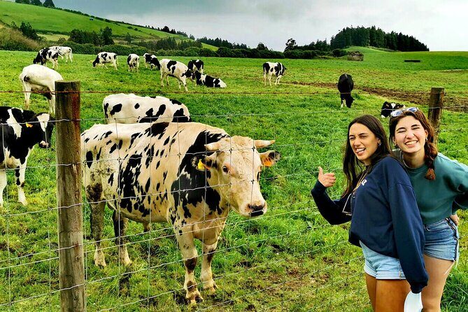 Azores: Shore Excursion Furnas - Crater volcano and hot springs - Who Should Book This Tour?