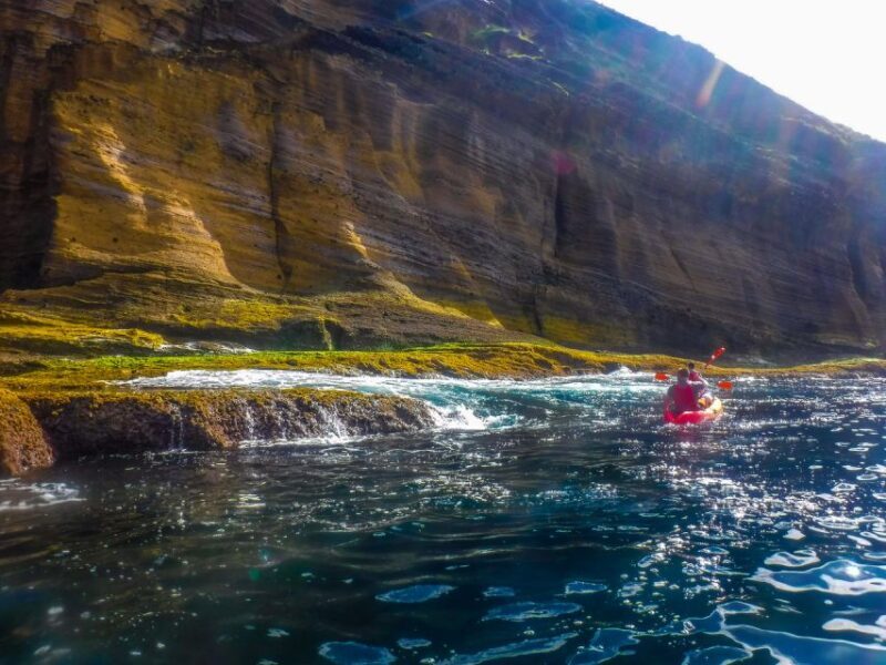 Azores: Vila Franca do Campo Islet Kayaking Experience - Who Would Love This Tour?