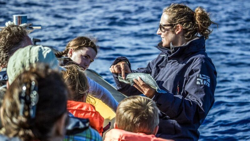 Azores: Whale Watching & Islet Boat Tour w/ Marine Biologist - Who Should Consider This Tour?