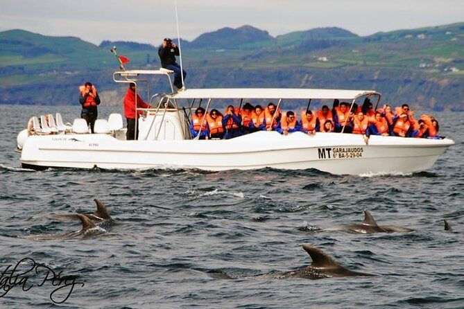 Azores Whale Watching Tour Ponta Delgada - Exploring the Azores Whale Watching Tour in Depth