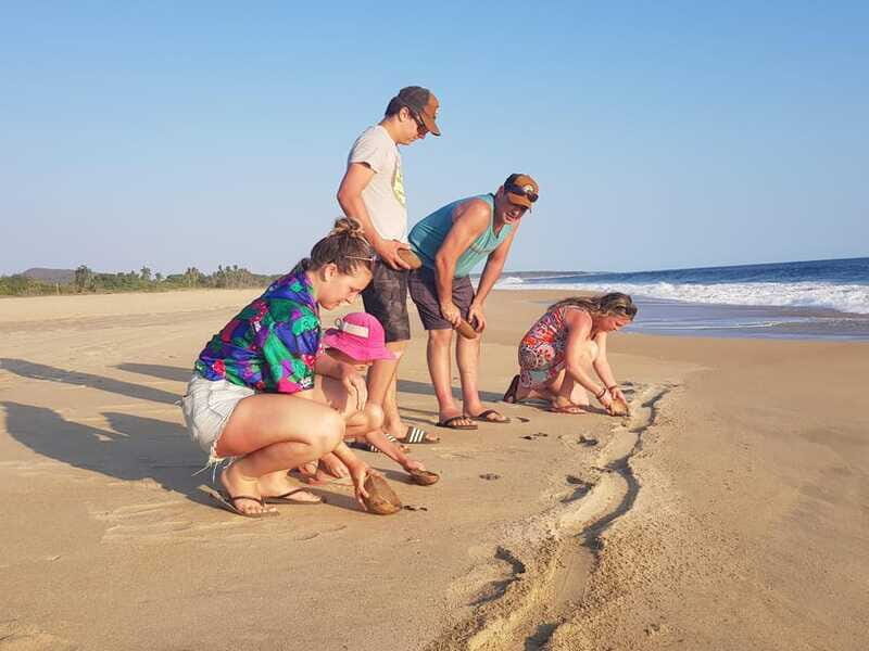 Baby Sea turtles release in Puerto Escondido - Practical Tips for Travelers