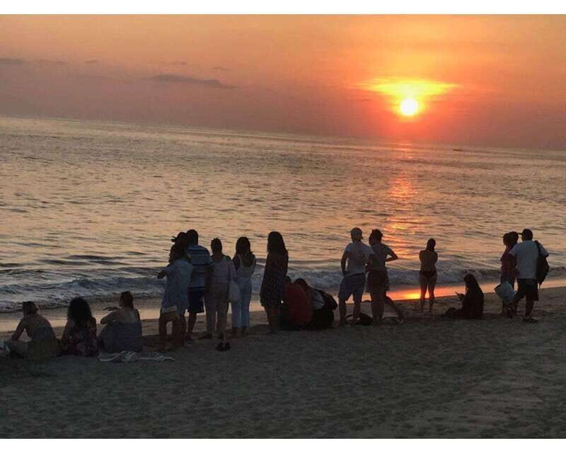 Baby Sea turtles release in Puerto Escondido - Why This Tour Works for Different Travelers
