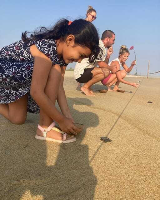 Baby Sea turtles release in Puerto Escondido - Final Thoughts