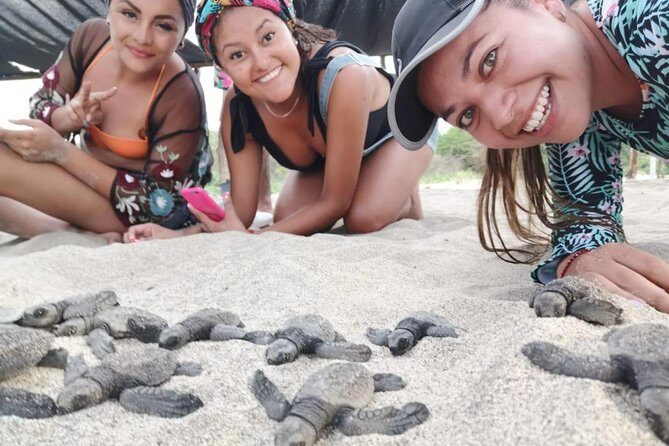 Baby Turtle Release - The Value of a Turtle Release Experience
