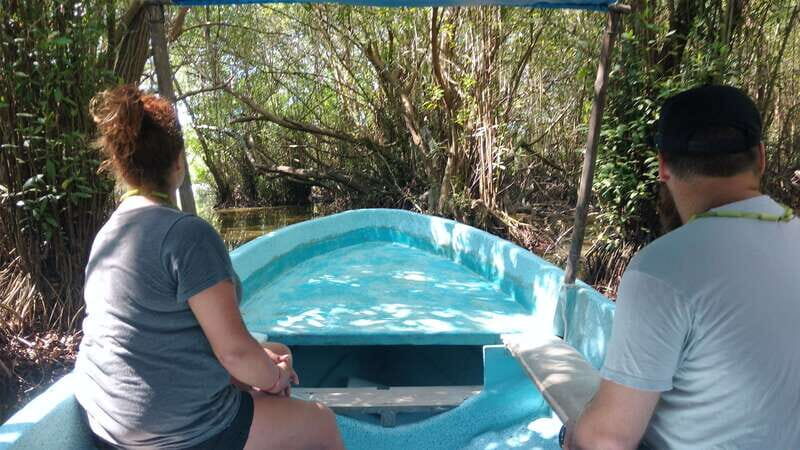 .Baby Turtle Release, Lagoon Boat Ride, and Crocodile Farm - The Sum Up