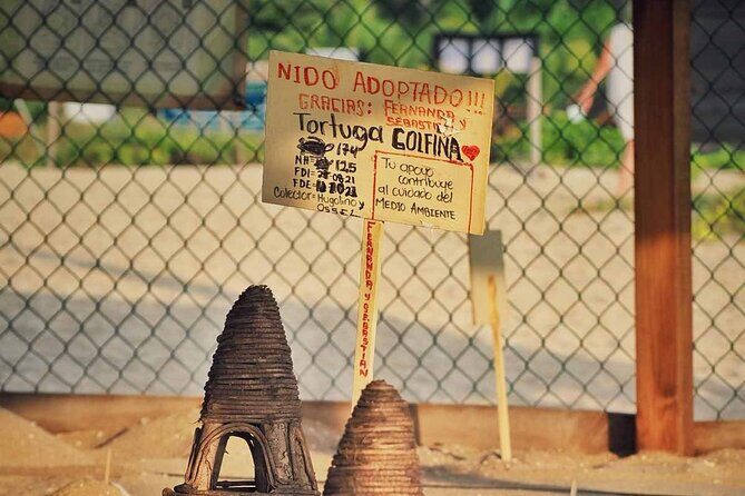 Baby Turtle Release Tour + Pick up + Courtesy in Puerto Escondido! - Final Thoughts