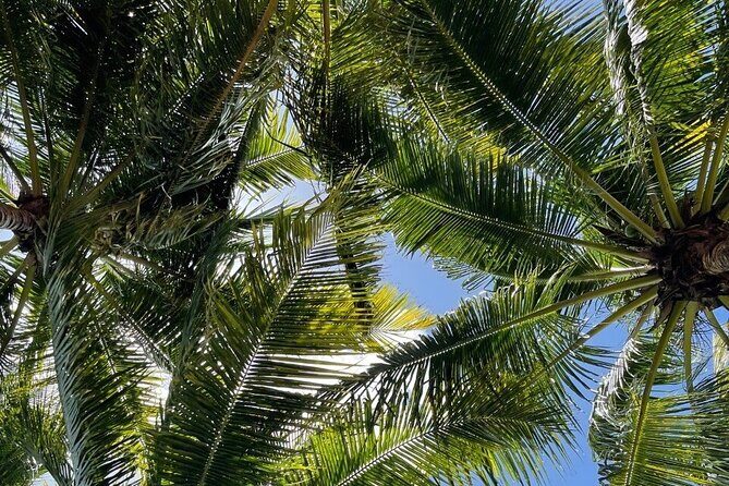 Bacalar 7 Color Lagoon and Mayan Family Experience Combo Tour - What’s Included and What’s Not