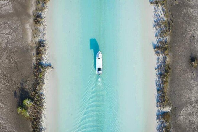 Bacalar Boat Tour and Visit to Cenotes - Authentic Experiences and Tips from Reviewers