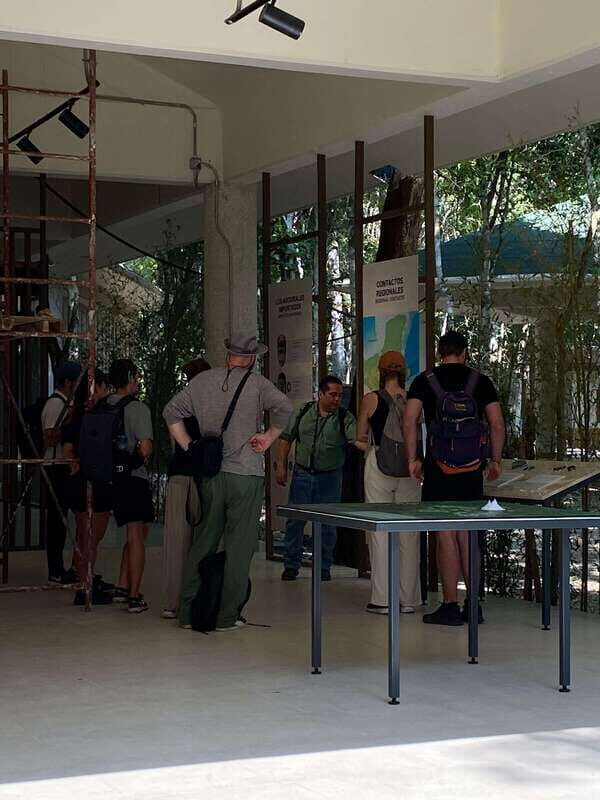 Bacalar: Calakmul Ruins Day Trip with a Stop In The Jungle - What Makes This Tour Stand Out?