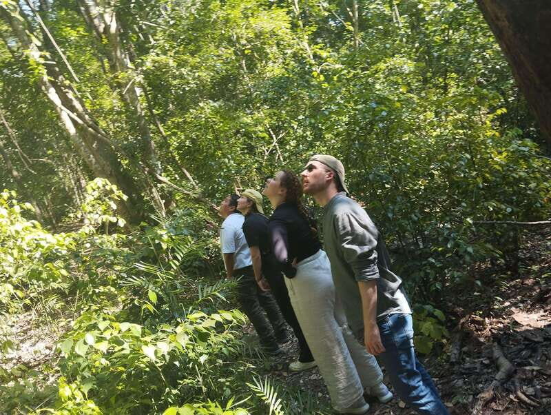 Bacalar: Calakmul Ruins Day Trip with a Stop In The Jungle - Who Is This Tour Best For?