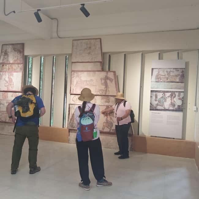 Bacalar: Calakmul ruins tour jungle and the bat volcano.. - Key Points  