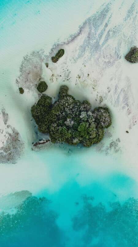 Bacalar & Cenotes: 3 hours kayak rental with snorkeling gear - Why This Tour Works for Travelers